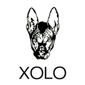 About — Xolo