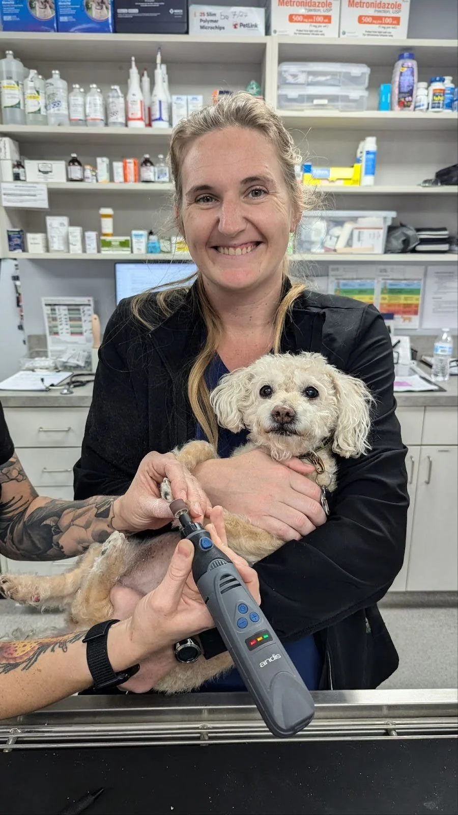 Meet Our Team — KindVet of Sarasota | Animal Urgent Care