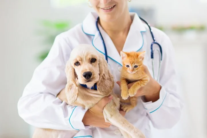 KindVet of Sarasota | Urgent Veterinary Services