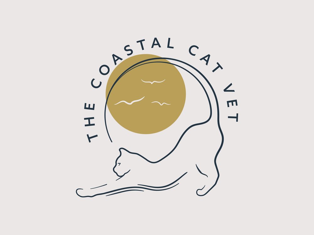 The Coastal Cat Vet — Cure Creative