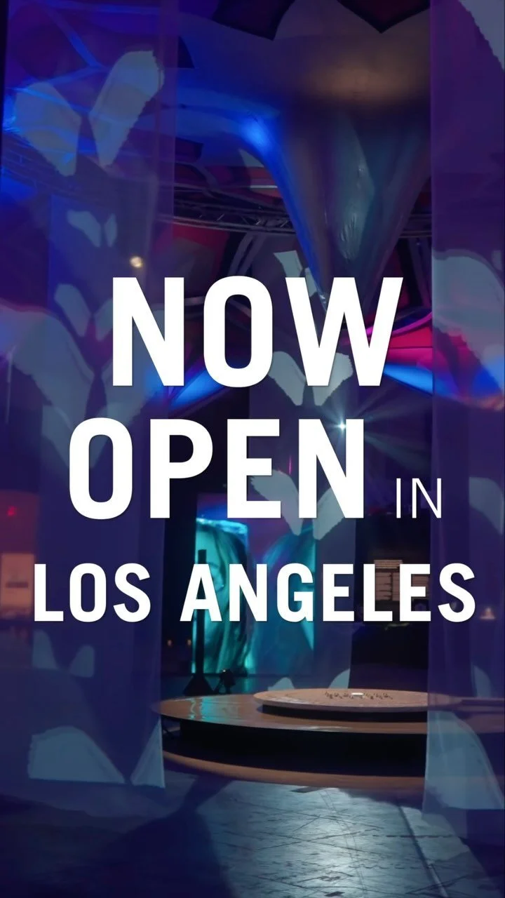 The Tribe of Nova Foundation — Nova Exhibition