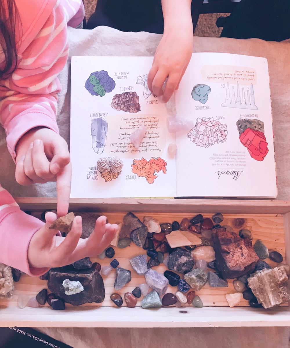 Level 1 — Blossom and Root