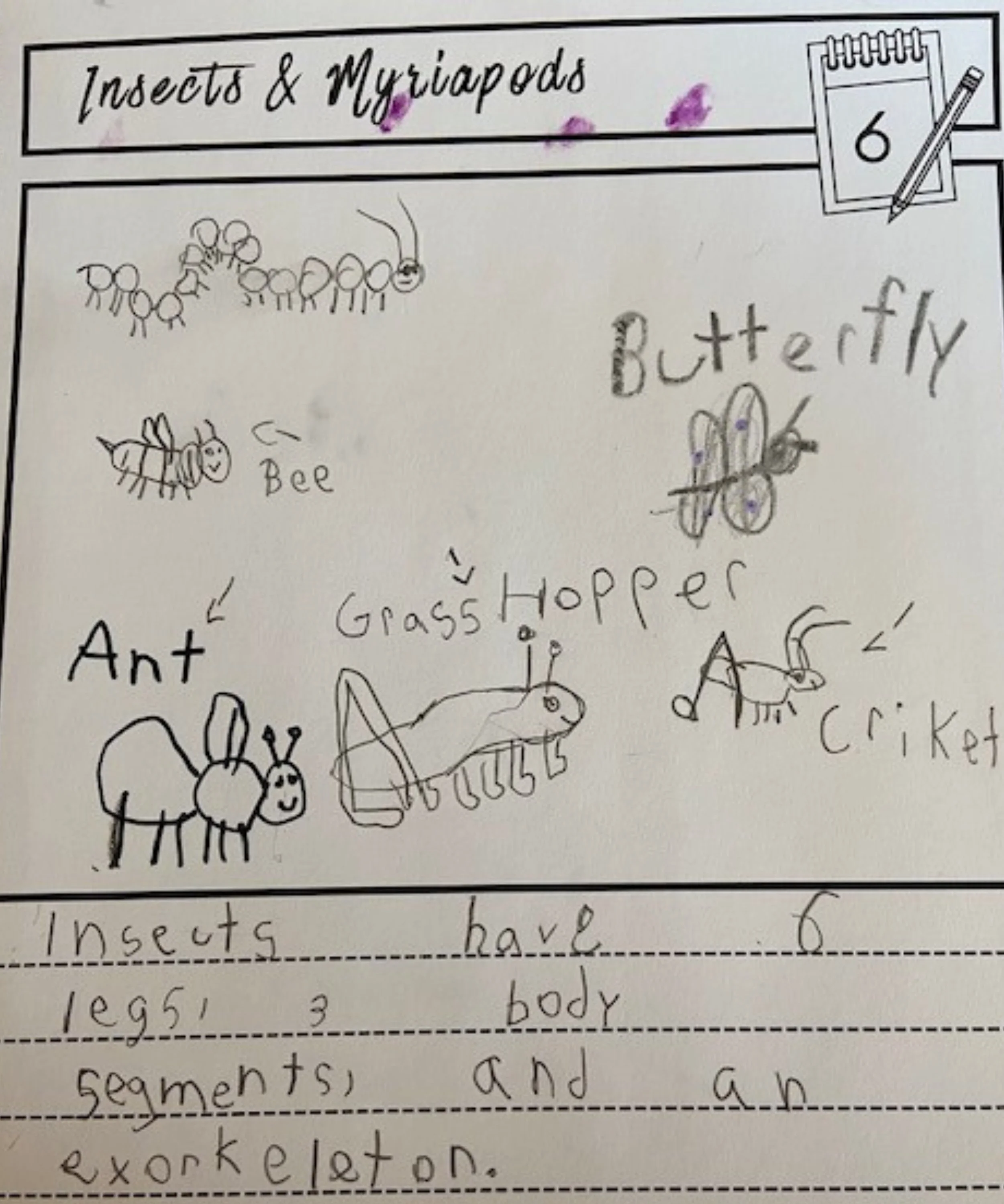 Level 3 — Blossom and Root