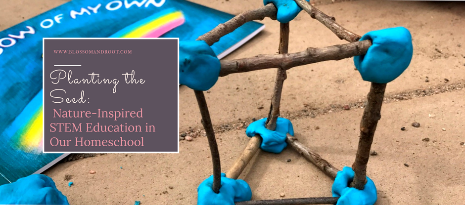 Planting the Seed: Nature-Inspired STEM Education in Our Homeschool ...