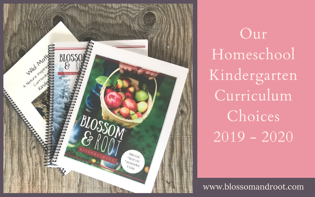 Our Homeschool Kindergarten Curriculum Choices 2019 - 2020 — Blossom ...