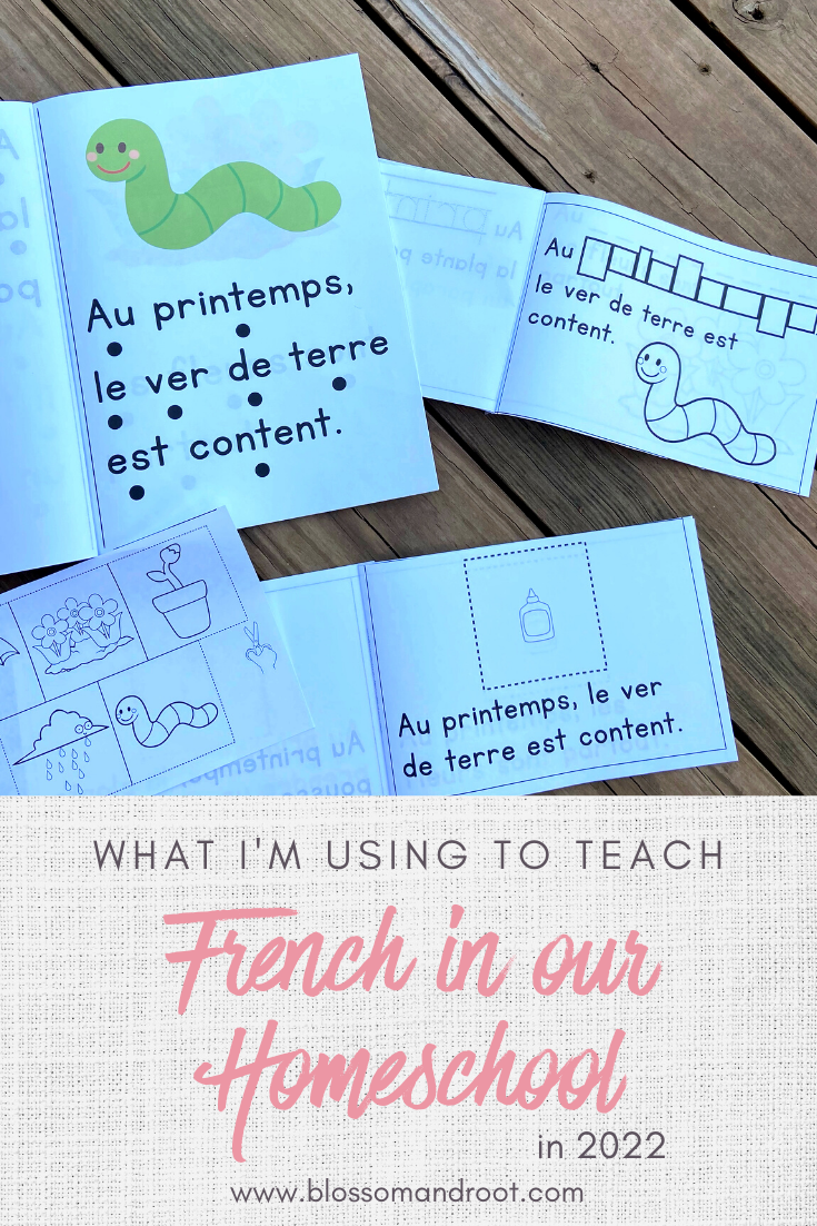 What I’m Using to Teach French in Our Homeschool in 2022 — Blossom and Root