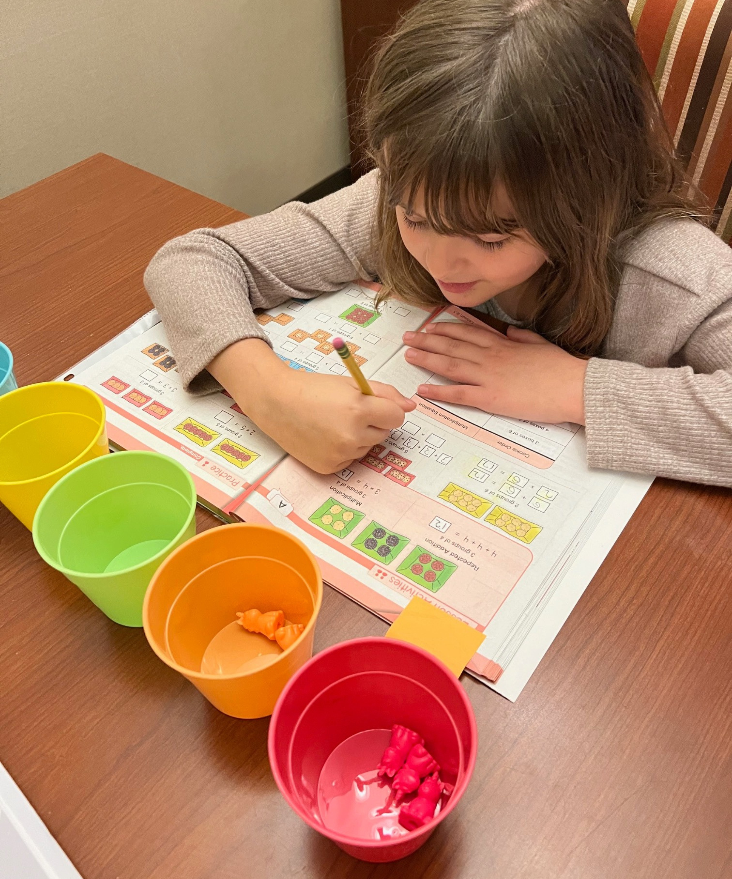 Math Supplements — Blossom and Root