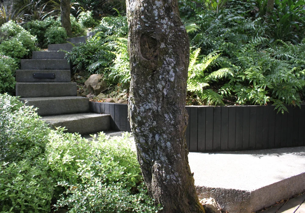 Athfield House Garden — MARK NEWDICK LANDSCAPE ARCHITECTURE