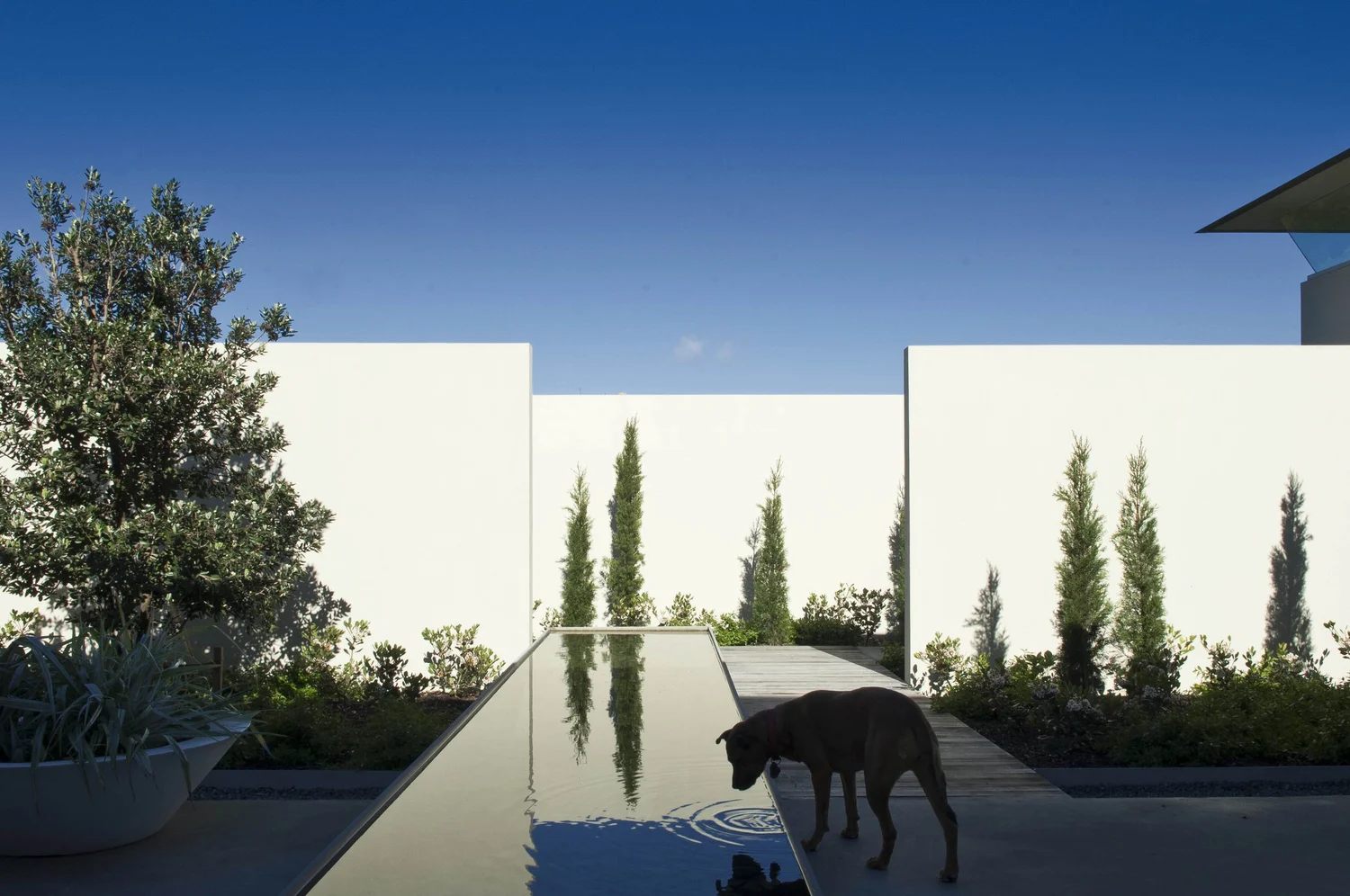 Pauatahanui Garden — MARK NEWDICK LANDSCAPE ARCHITECTURE
