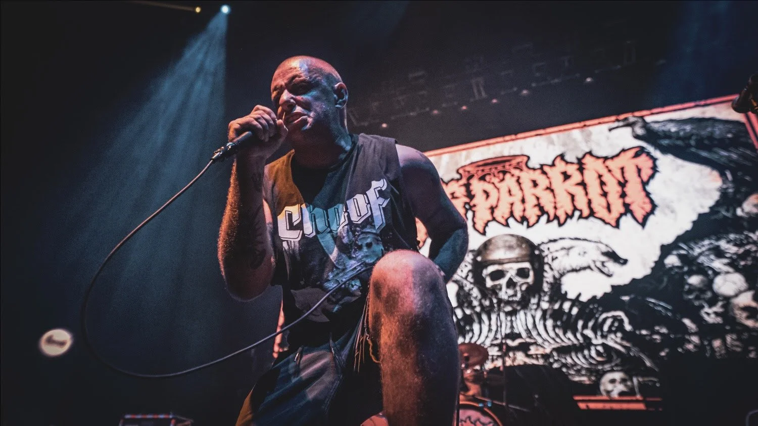 King Parrot New Single + Video - “Look Away I’m Hideous”. — The ...