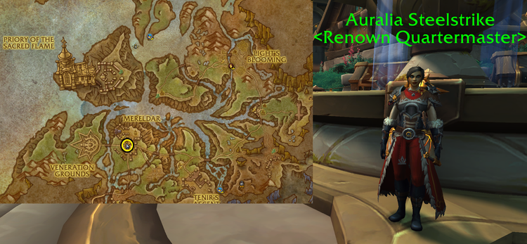Comprehensive Hallowfall Arathi Renown Guide | World of Warcraft ...