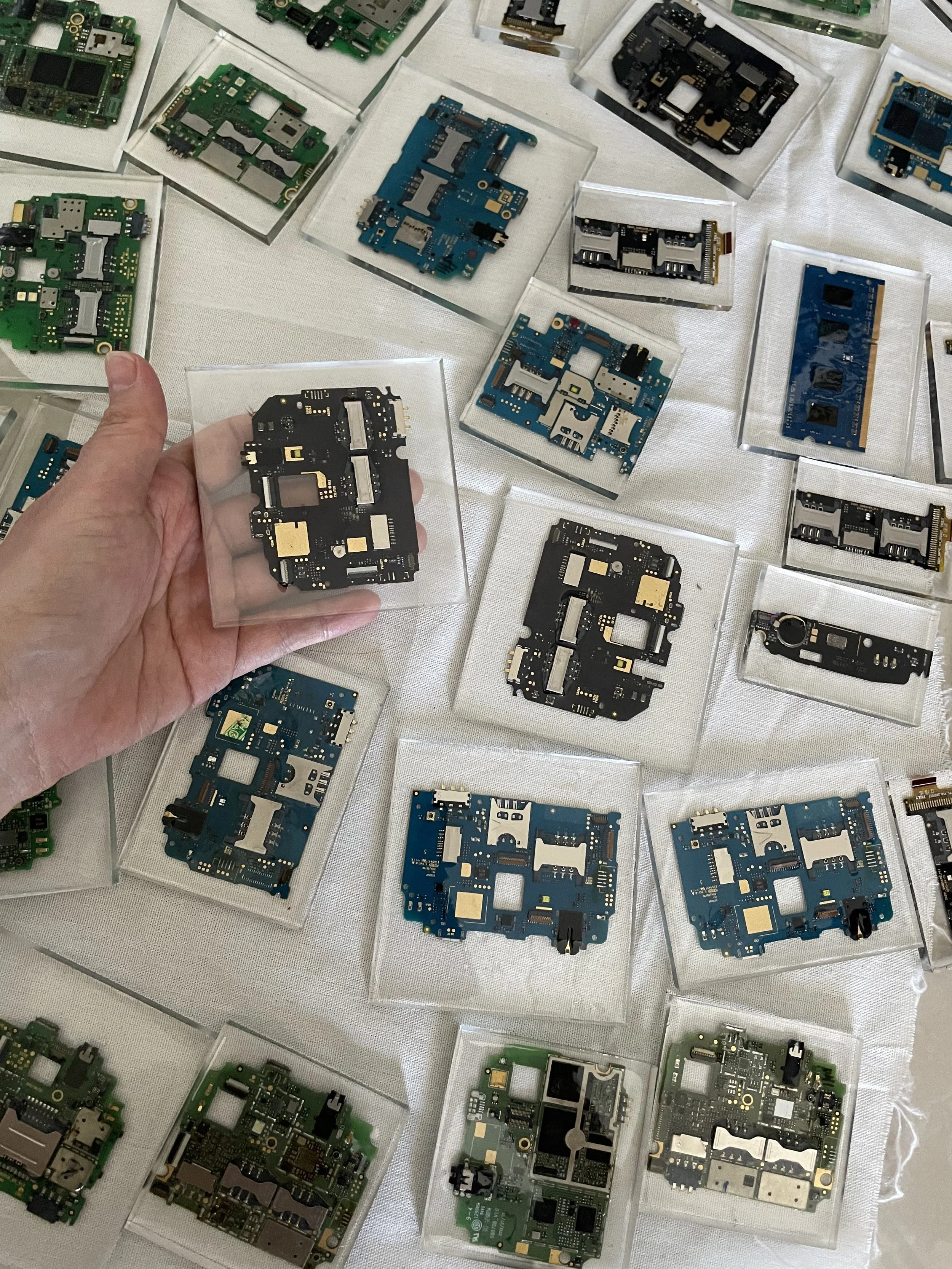 Fresh Faces: Carla Zhang — Fashion & Market