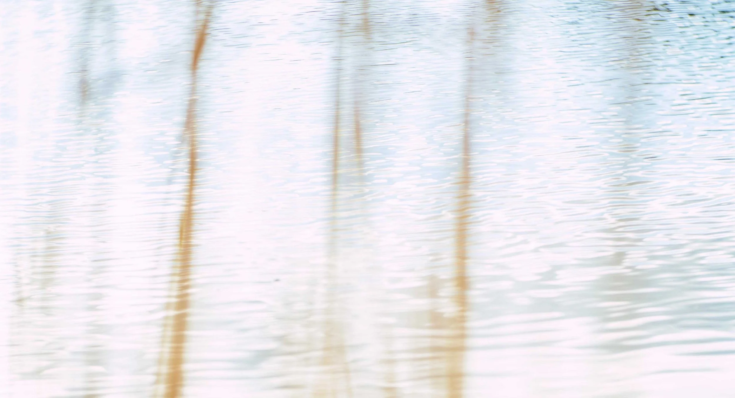 Tanfield Lodge Lake - Fly Fishing
