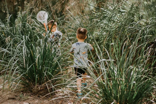 Little Wildlings