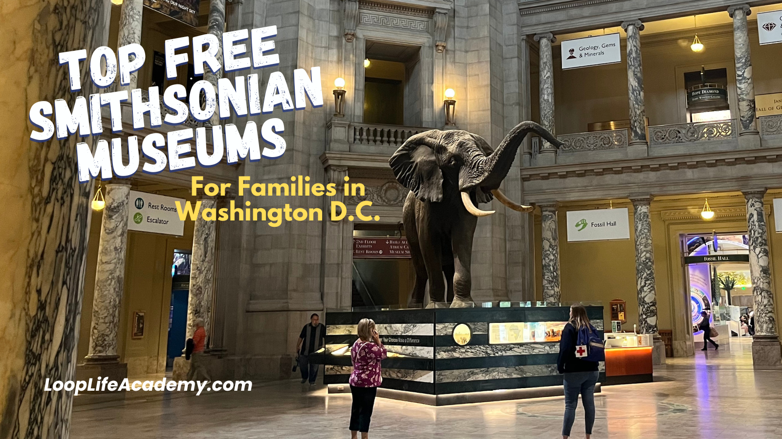 Top Free Smithsonian Museums for Families in Washington D.C. — Loop ...