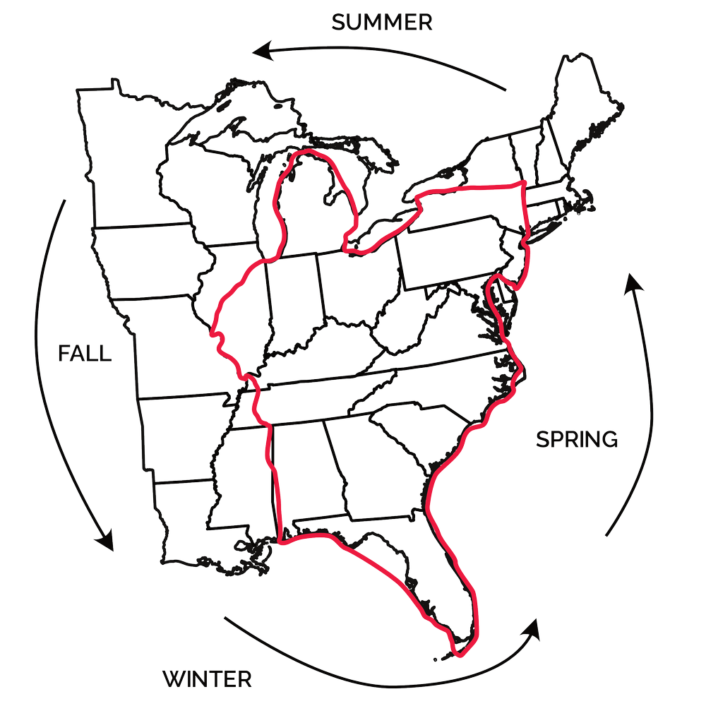 What is America's Great Loop? — Loop Life Academy