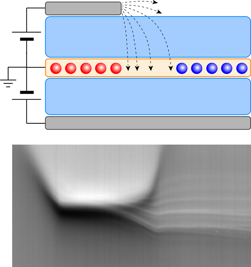 Quantum Opto-Electronics Group of Prof. Tomasz Smoleński