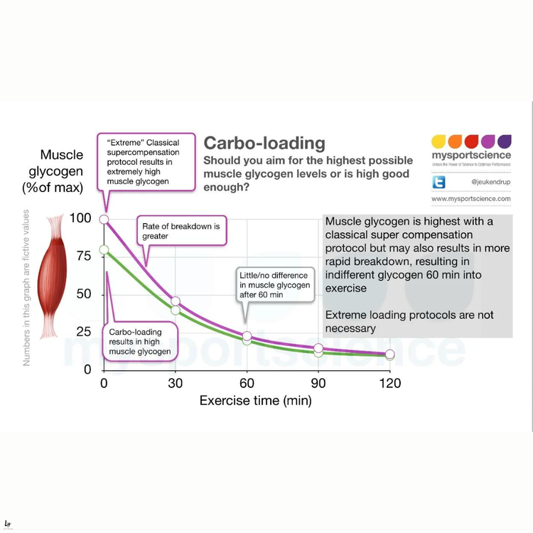 Carbohydrate Loading For Endurance Performance — Luke Hall Nutrition