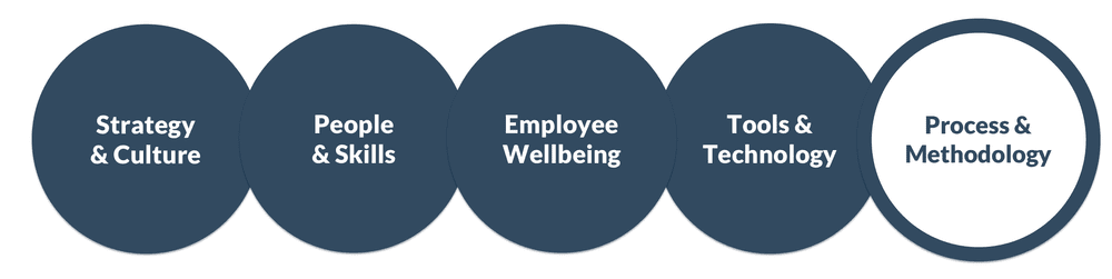 The Process & Methodology Pillar Of The People-Centricity Maturity ...