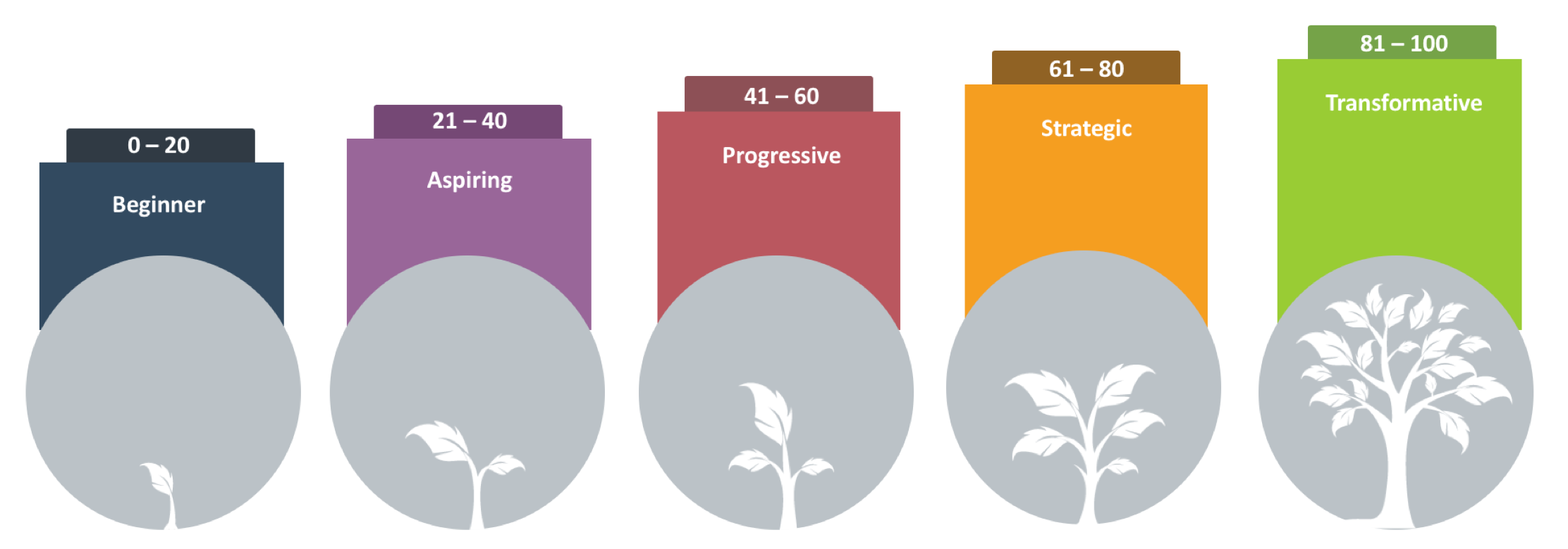 The 5 Maturity Levels Of The People-Centricity Maturity Model — Become ...