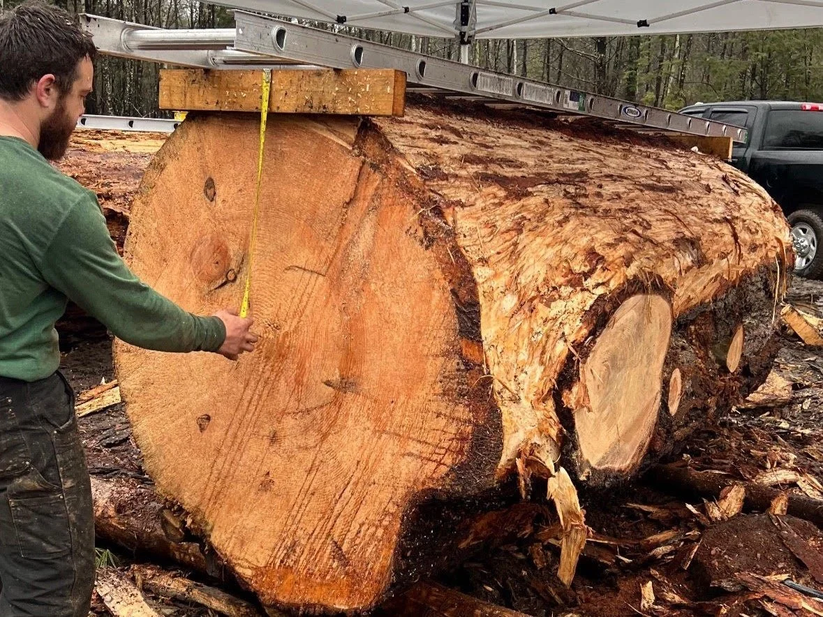 JM Timber: High-Quality Lumber and Custom Milling Services