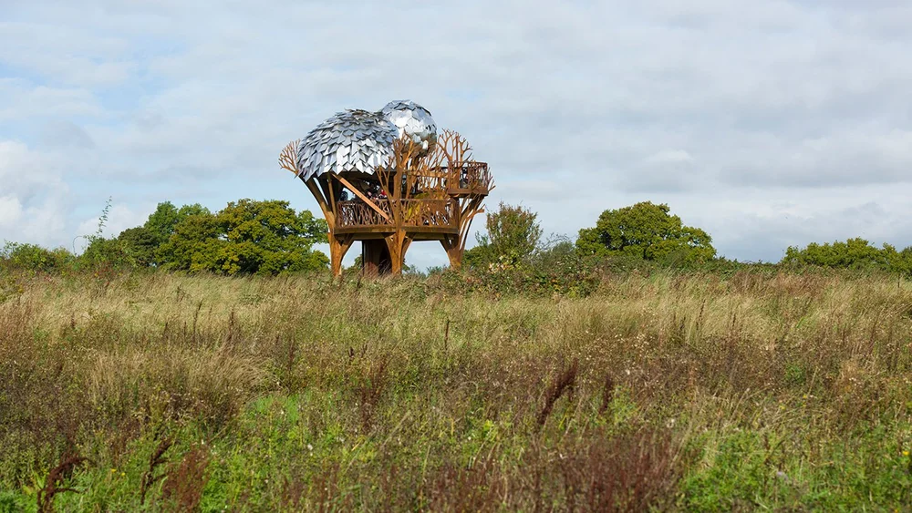 Tree House — Studio Hardie