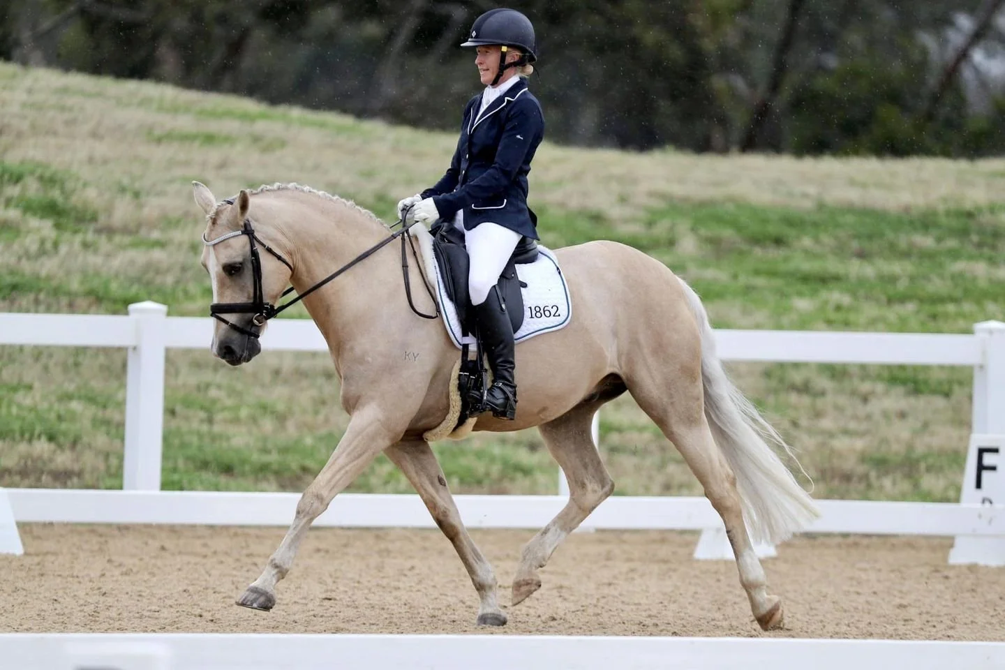 Equissage National AOR Dressage Championships 2024