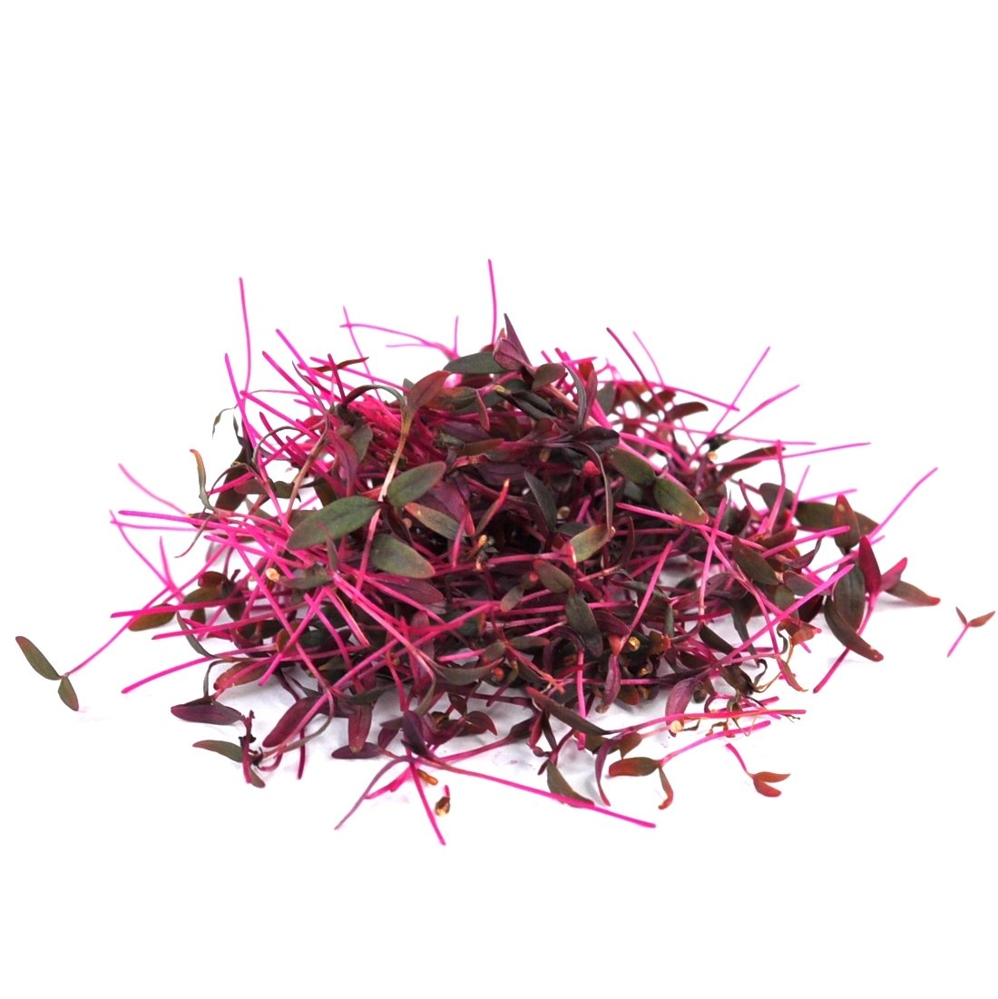 Pea Tendril — Tyriana
