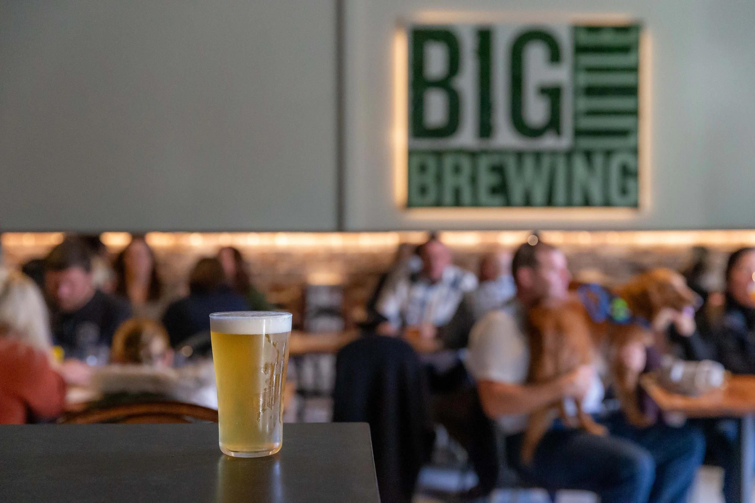 Big Little Brewing