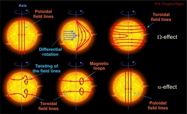 The Sun’s Magnetic Field and the Solar Cycle — Harford County ...