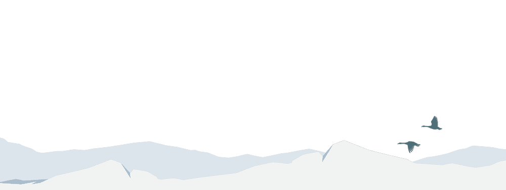 Timeline — The RCMP from Then to Now