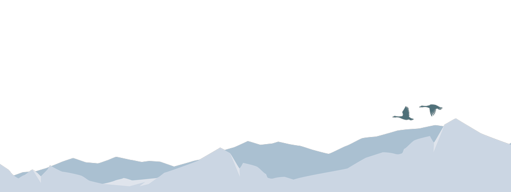 Gallery — The RCMP from Then to Now