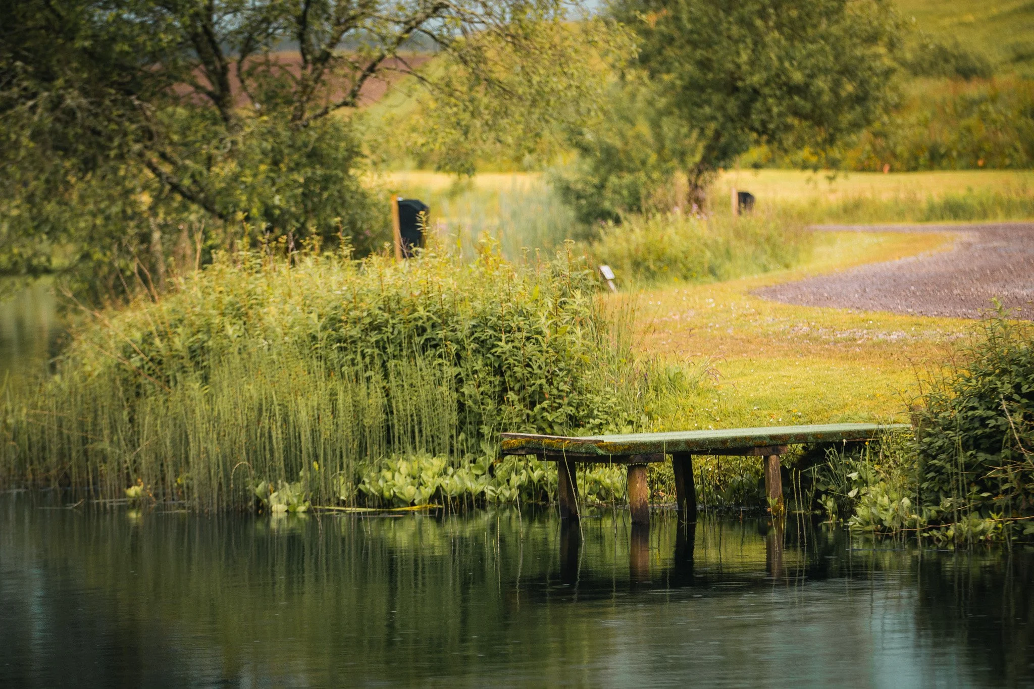 Orchill Loch Trout Fishery