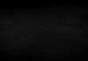 Menu — Dragon Tiger Noodle Co