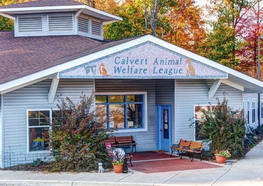 Calvert Animal Welfare League