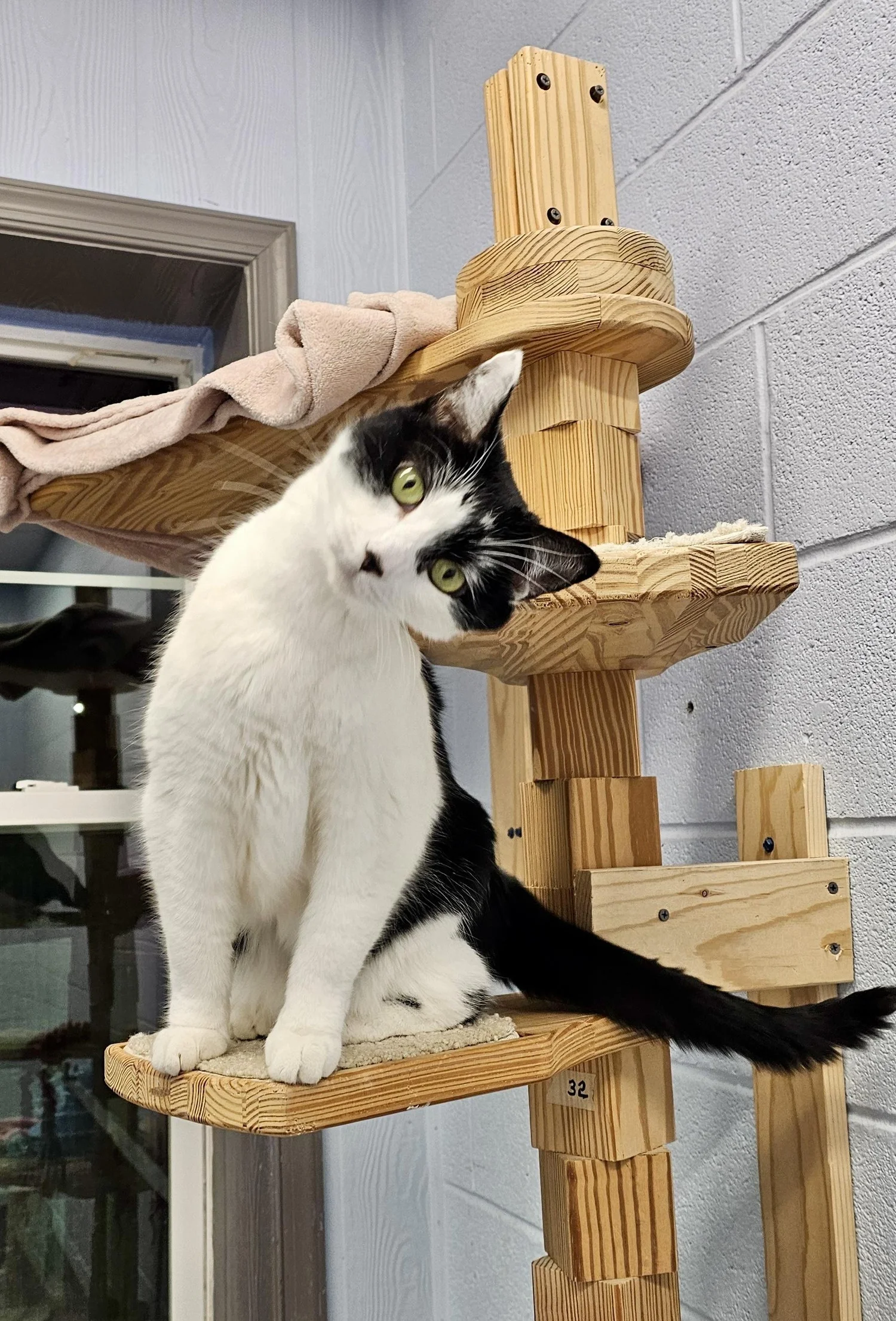 Calvert Animal Welfare League