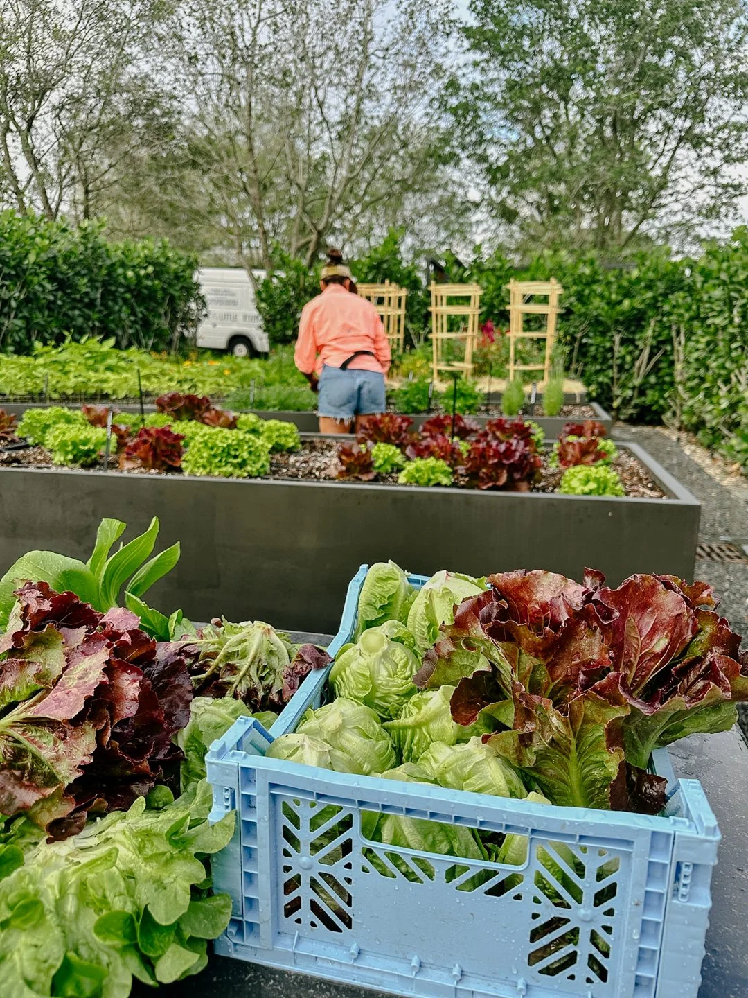 Projects — Little River Cooperative