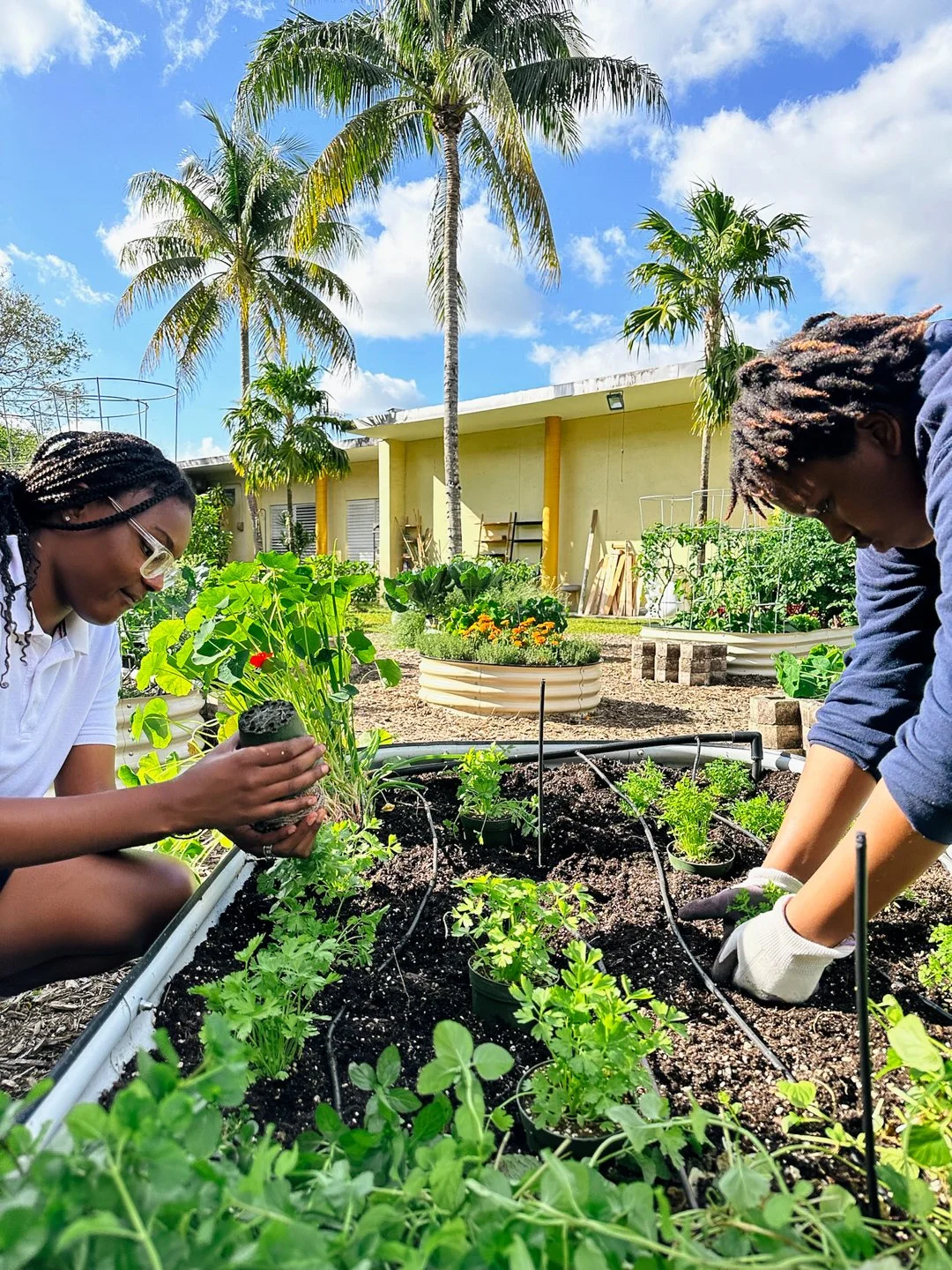 SEED School of Miami Educational Garden — Little River Cooperative