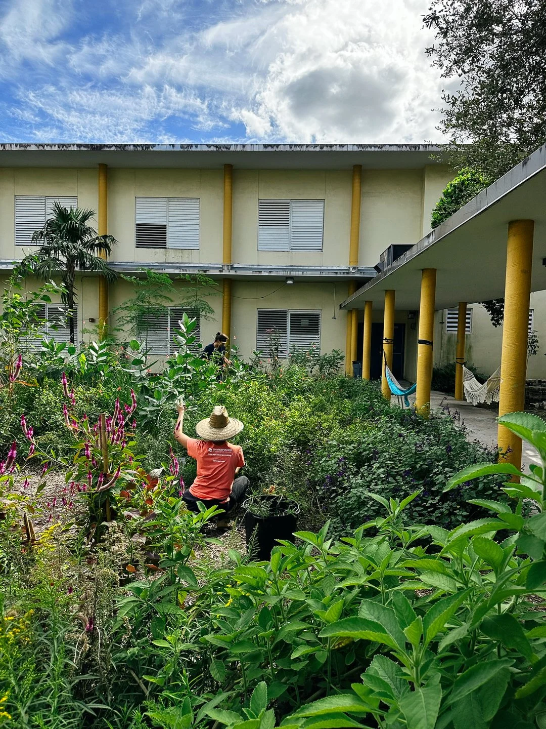 SEED School of Miami Educational Garden — Little River Cooperative