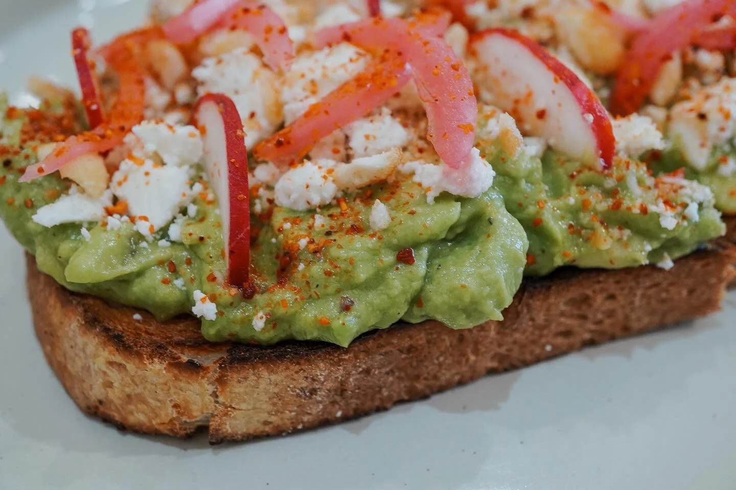 Grove Surf Cafe || Indian Rocks Beach