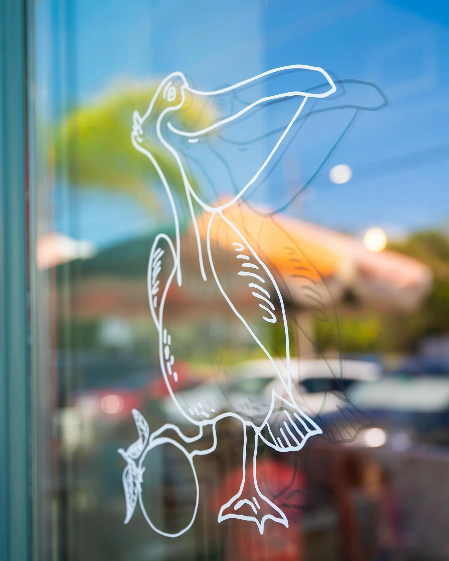 Grove Surf Cafe || Indian Rocks Beach