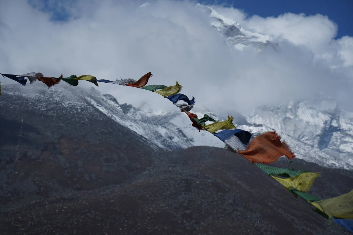 Australian Himalayan Foundation