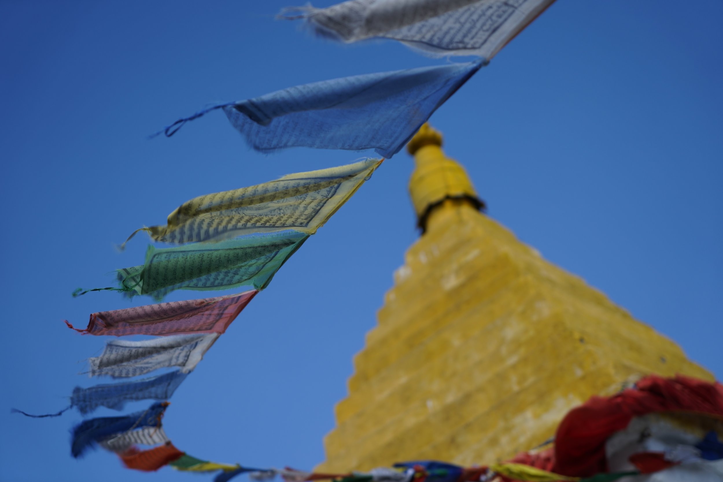 AHF History — Australian Himalayan Foundation