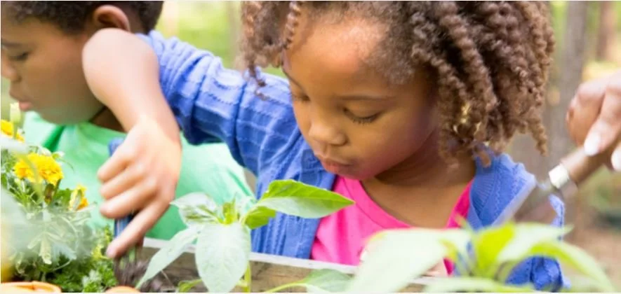 Primary Awards for Green Education in Schools