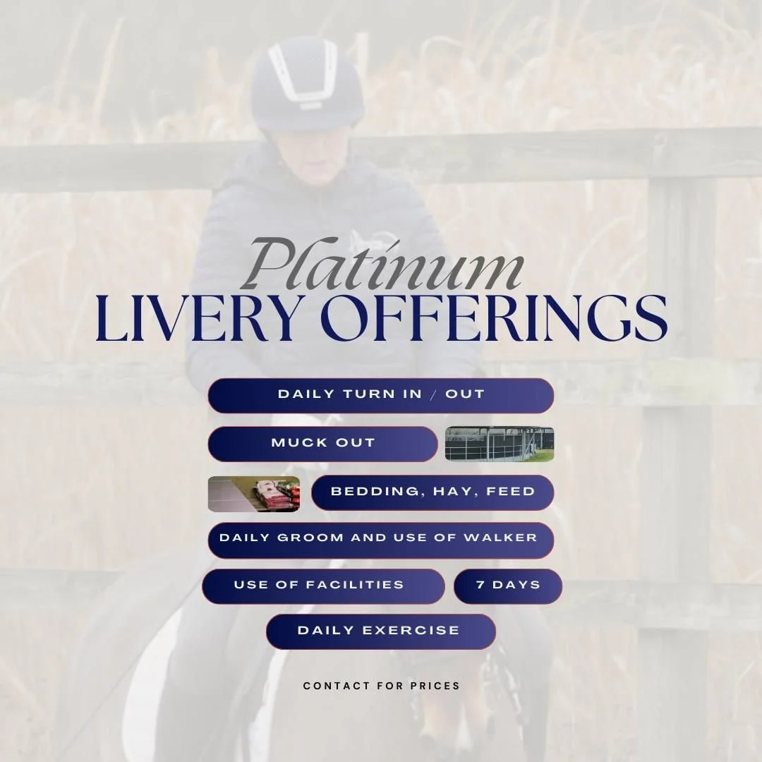 Livery — Harling Wood Stud