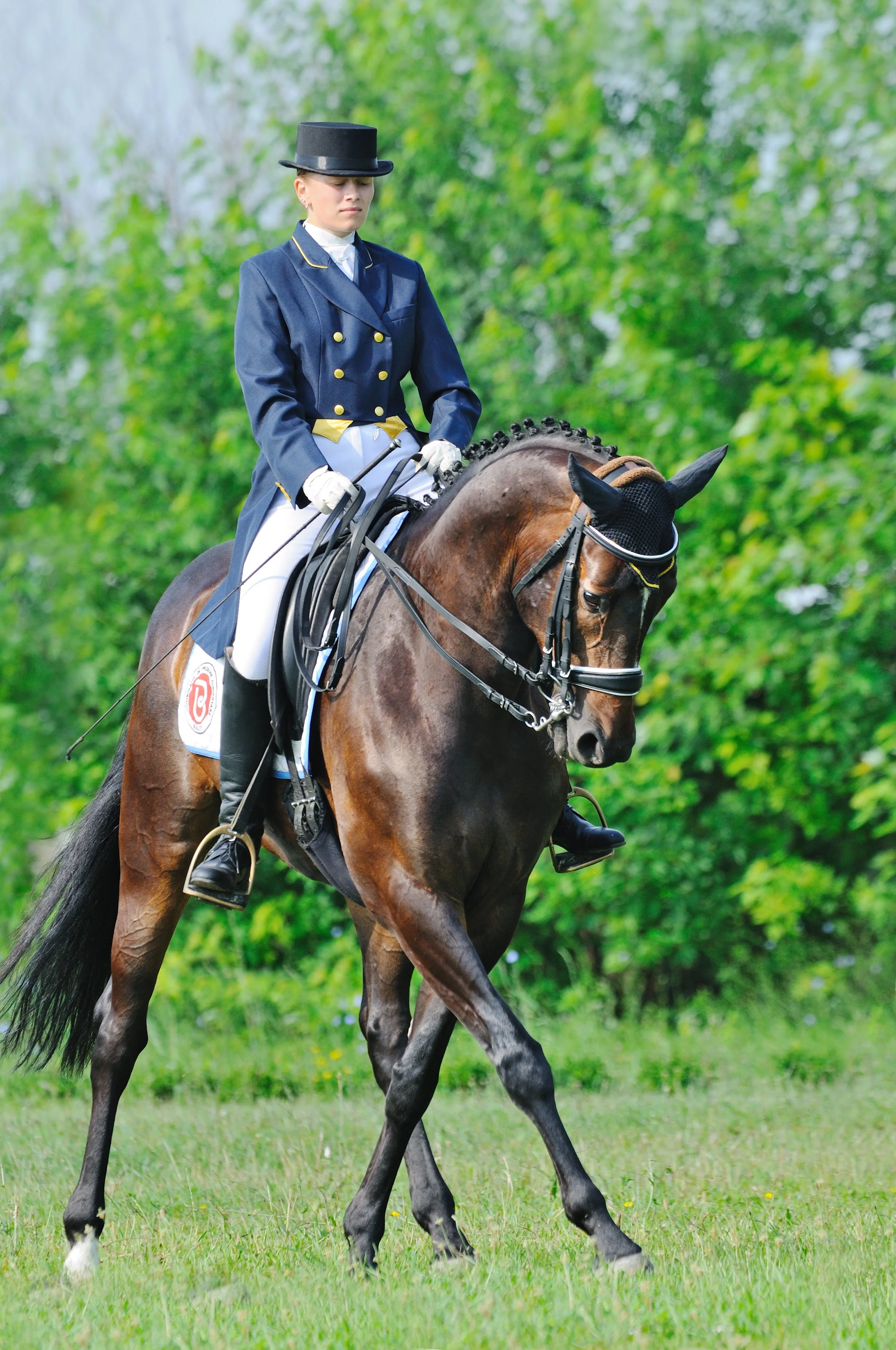 Harling Wood Stud