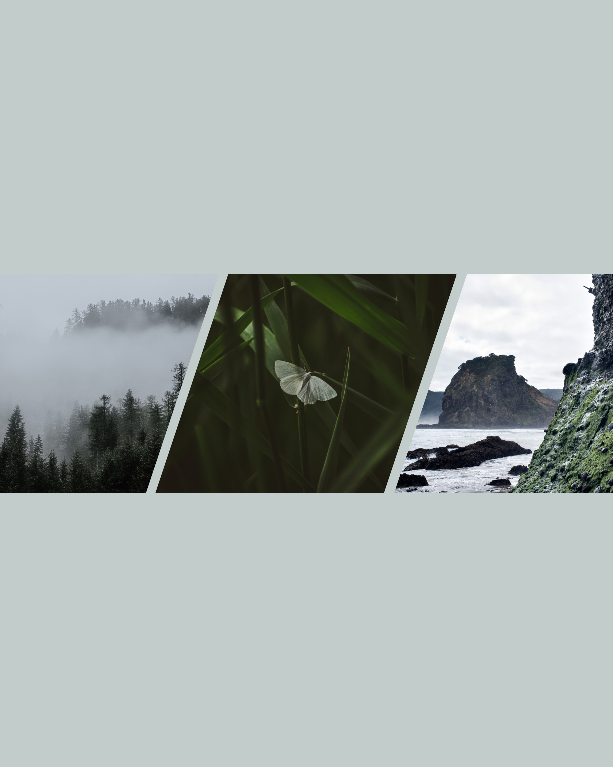 Collaborate — Evergreen Copy Co.