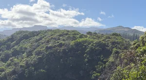 ALOHA PU‘U KUKUI