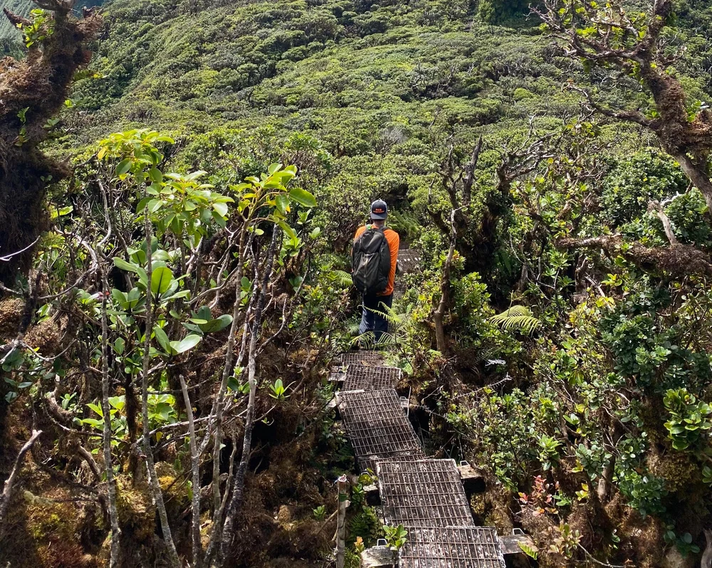 HIKE | Join the Journey Today — ALOHA PU‘U KUKUI