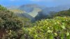 ALOHA PU‘U KUKUI